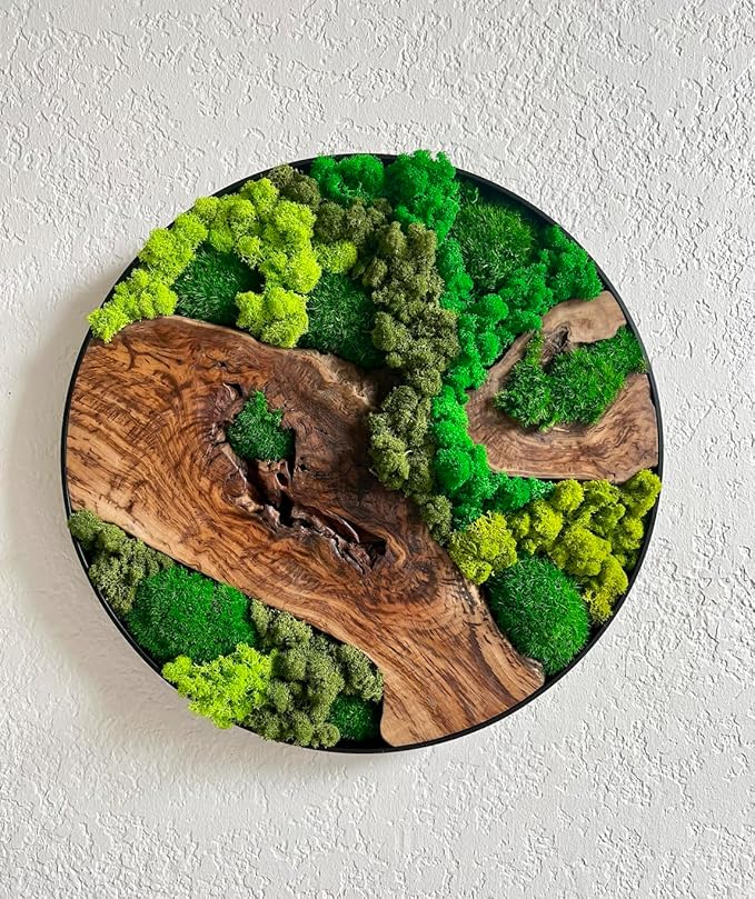 Amazon.com: Real Preserved Moss Wall Art with Natural Wood.No Upkeep ...