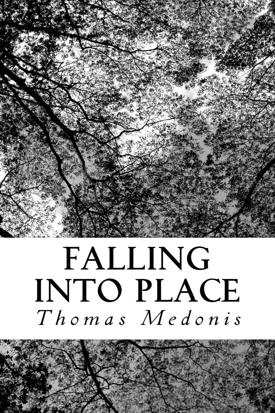 Falling Into Place: Medonis, Thomas: 9781481006200: Amazon.com: Books