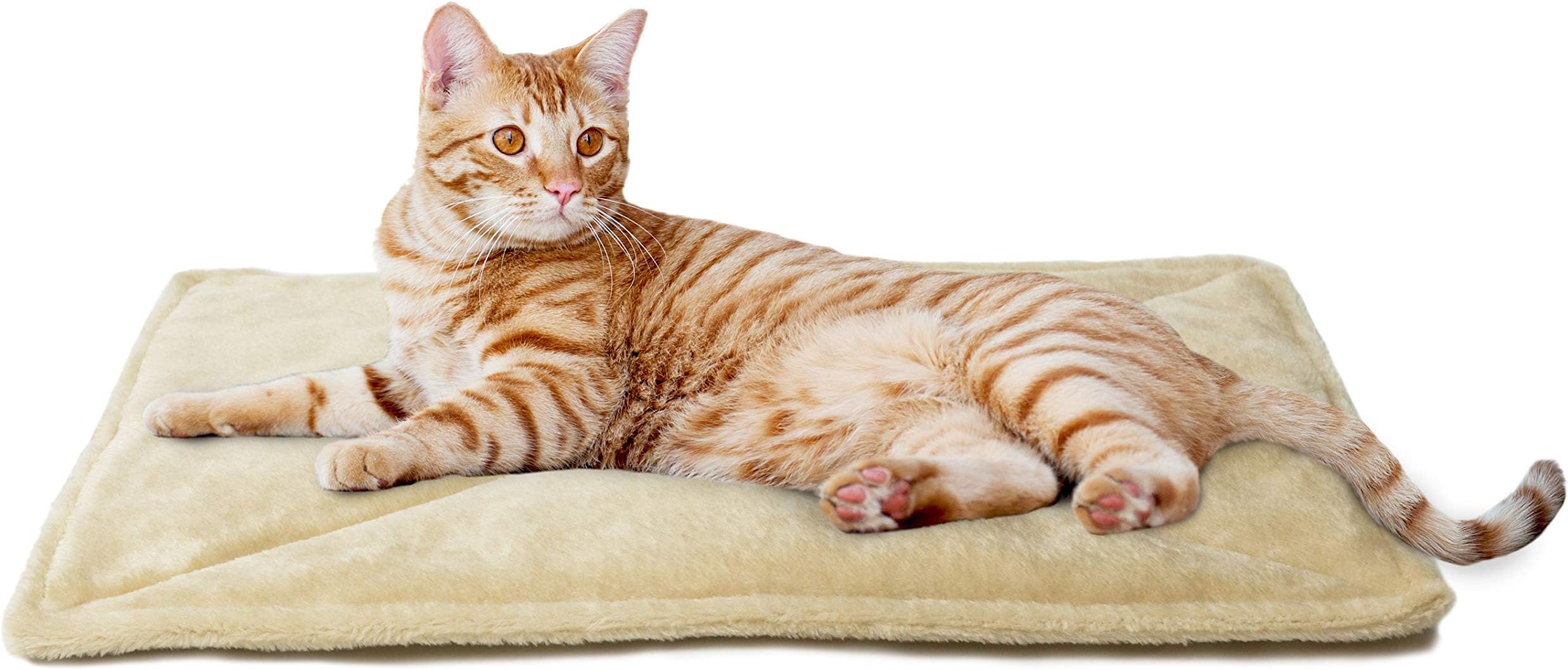 Amazon.com : PETLESO Small Cat Bed Plush Cat Cushion, Small Cat Beds ...