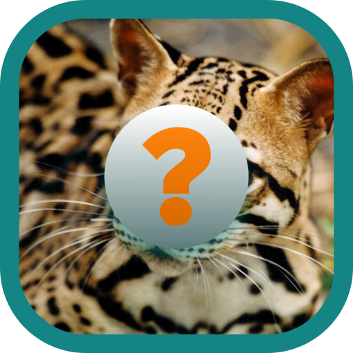 Guess the animal. Quiz - App on Amazon Appstore