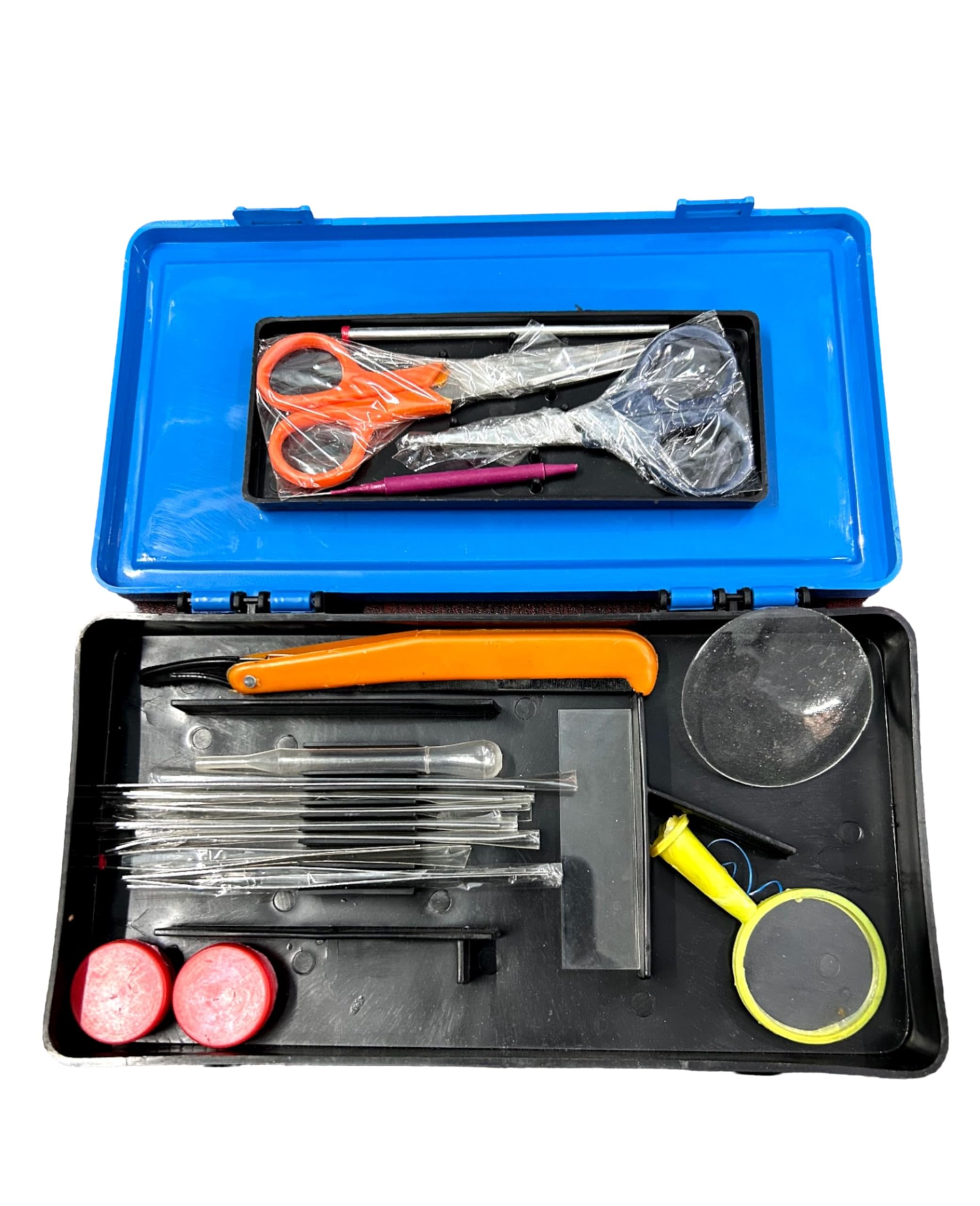 DT Science House Dissection Box for schools and colleges : Amazon.in ...