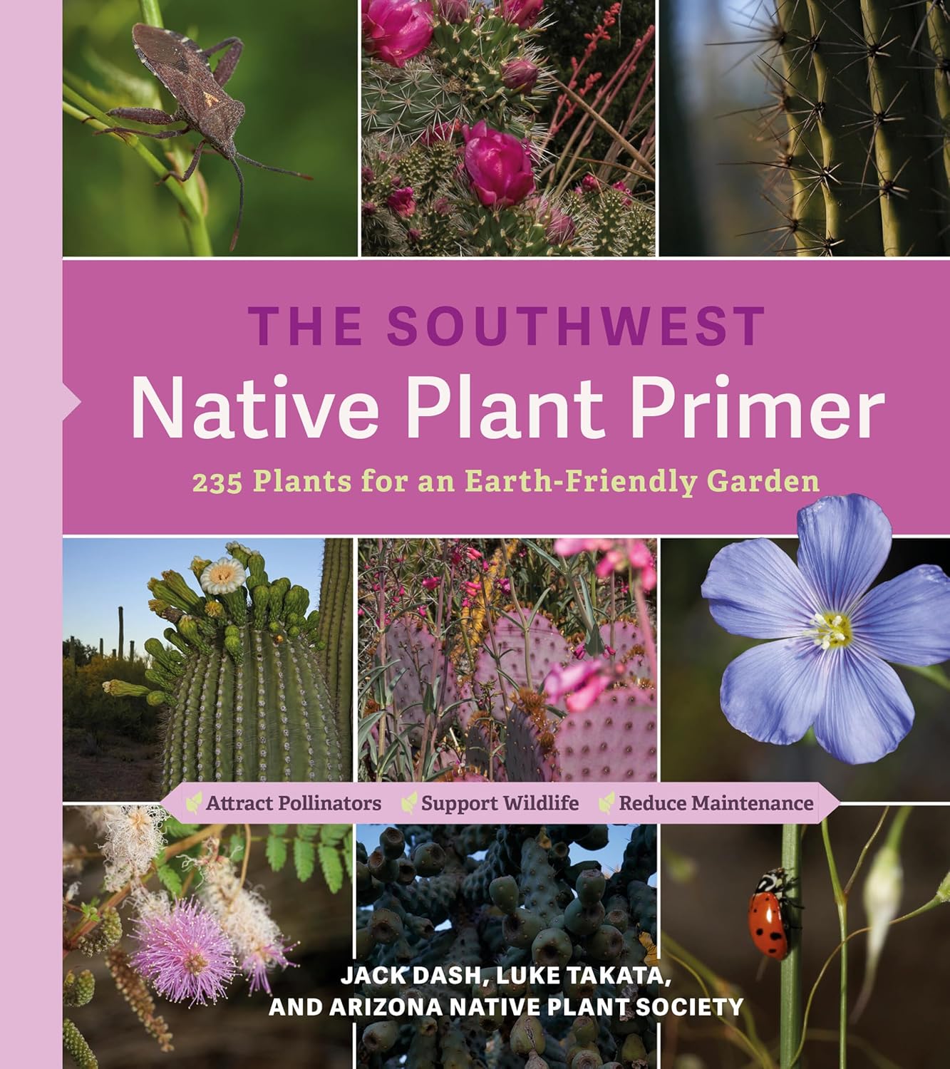The Southwest Native Plant Primer: 235 Plants for an Earth-Friendly ...