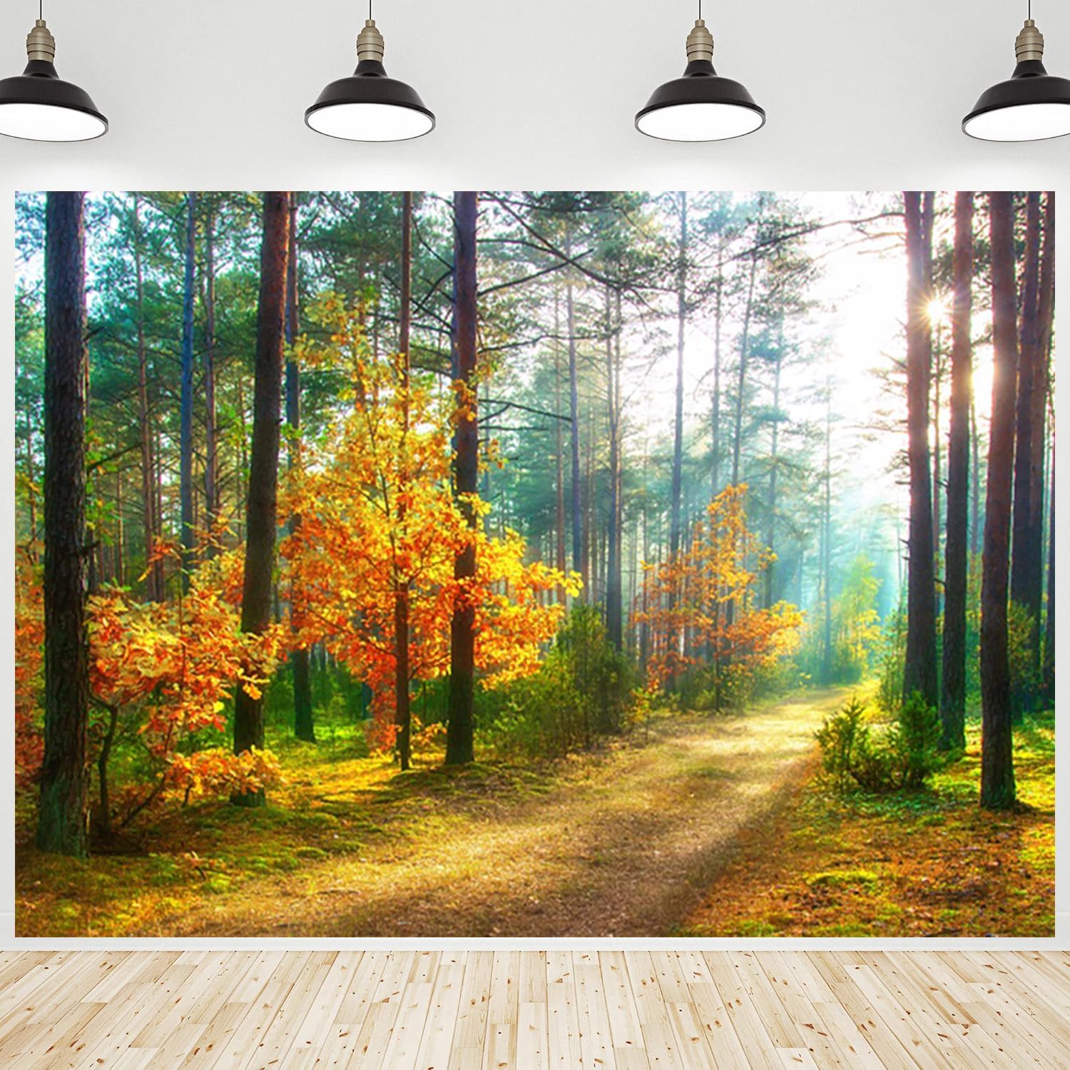 Amazon.com : CRTPOD Fall Backdrop Autumn Nature Forest Scenery ...