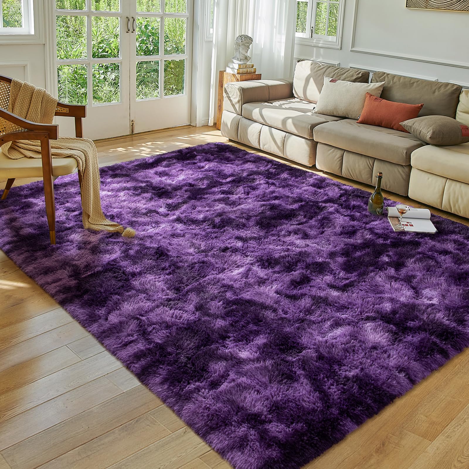 Amazon.com: Softlife Area Rug for Living Room, 5x8 Feet Plush Fluffy ...