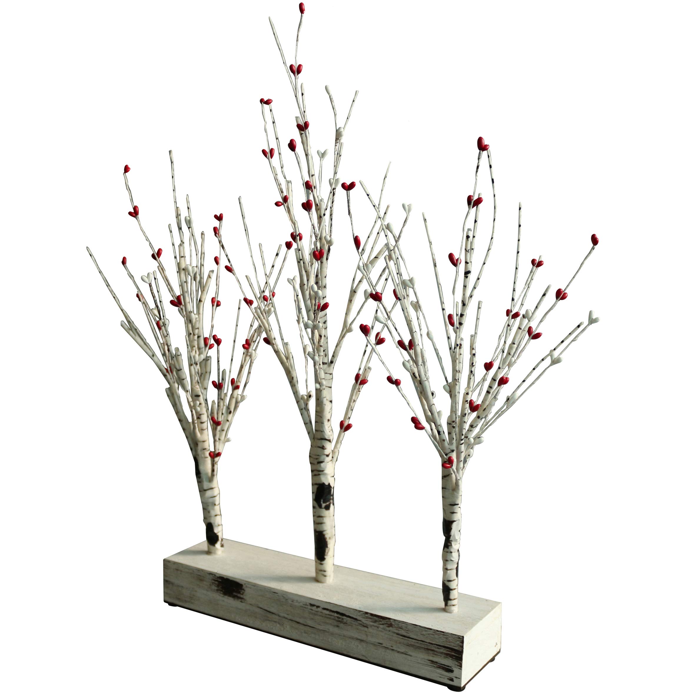 Amazon.com: CVHOMEDECO. Battery Operated w/Timer Illuminated Pip Berry ...