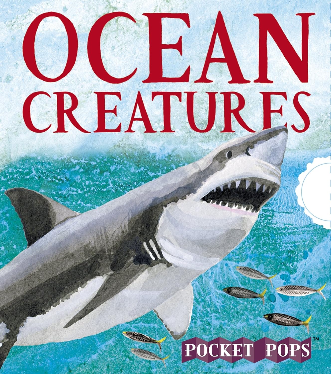 Ocean Creatures: A Three-Dimensional Expanding Pocket Guide: Amazon.co ...
