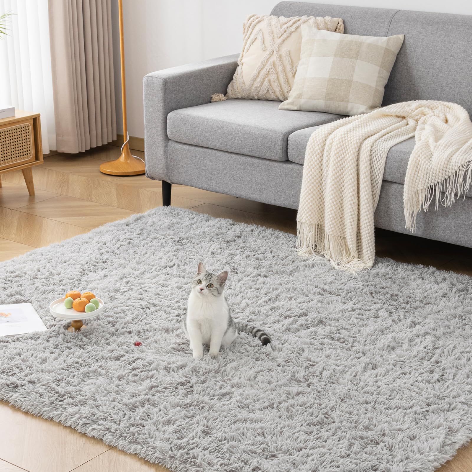 Amazon | Keusnix ラグ カーペット ラグマット ふわふわ シャギーラグ 160x200cm 絨毯 滑り止め付 洗える 肌触り優しい 防ダニ 抗菌 防臭 オールシーズン快適に使用 ...