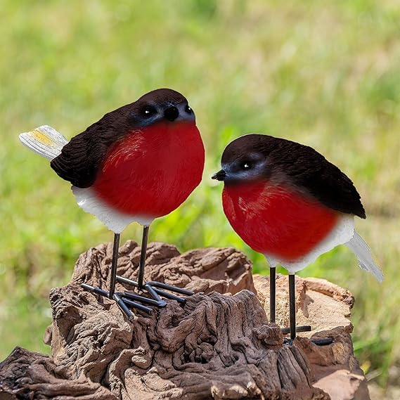 GloBrite Set of 2 Robin Garden Ornaments – Outdoor Resin Bird Statues ...