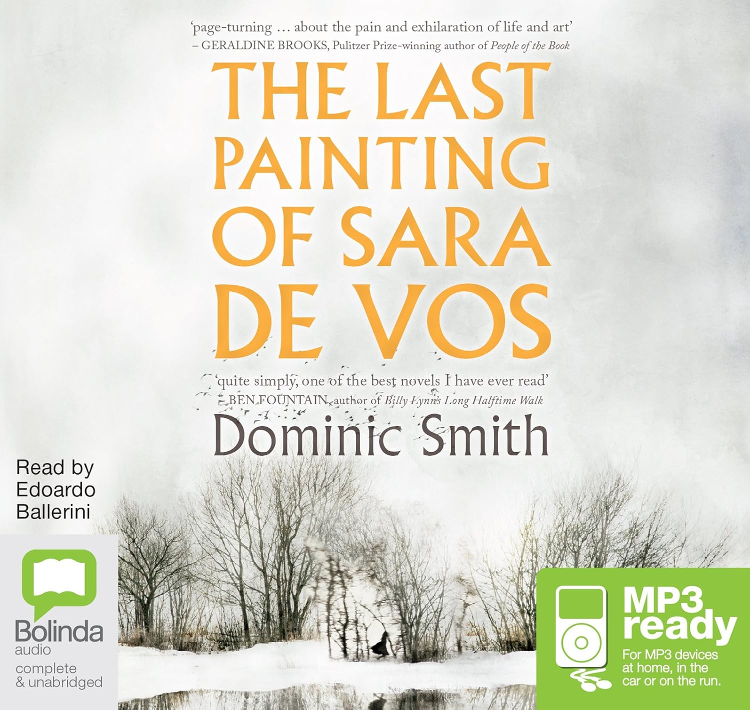 Amazon.com: The Last Painting of Sara de Vos: 9781489352620: Macmillan ...