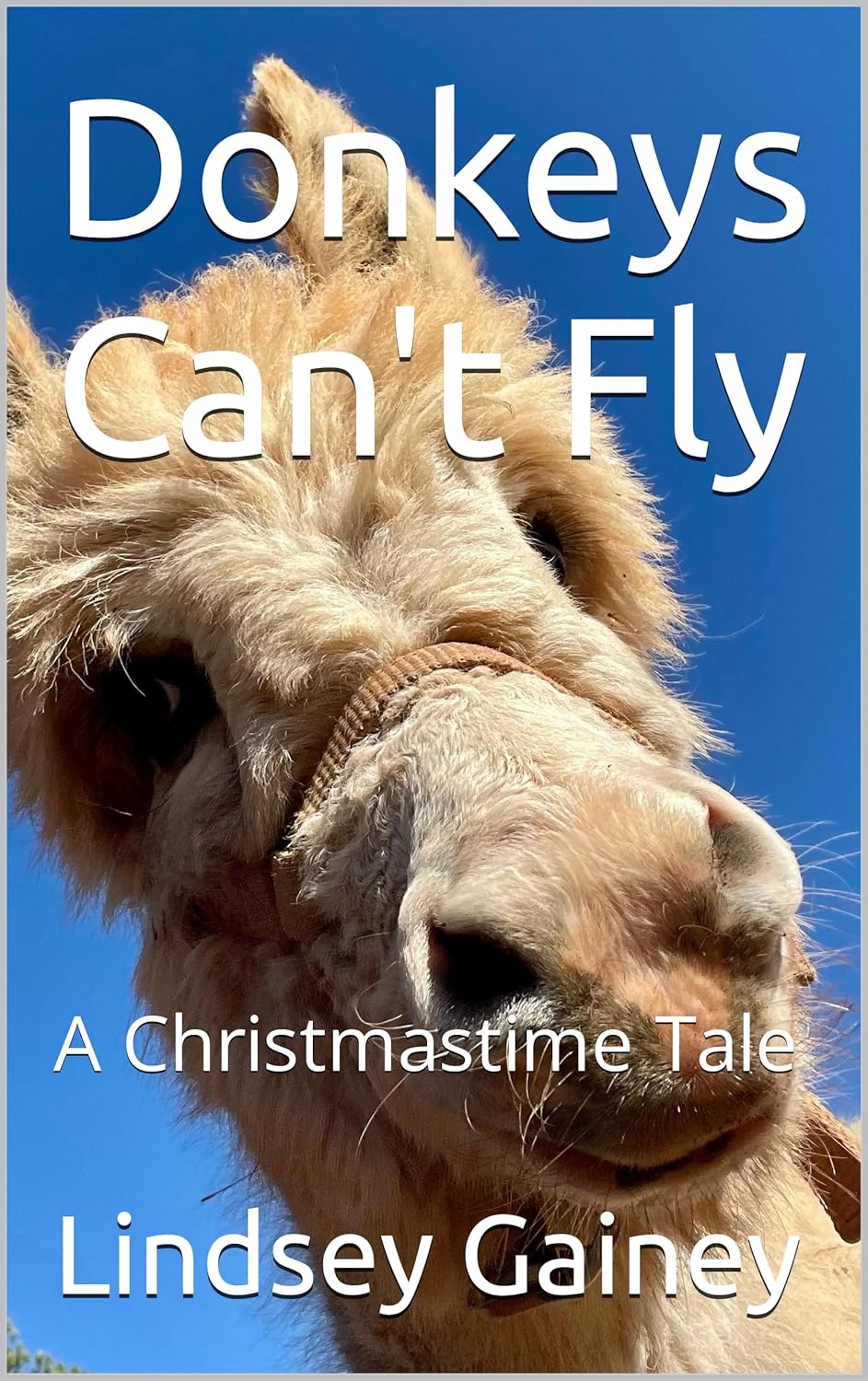 Amazon.com: Donkeys Can't Fly: A Christmastime Tale (Adventures of the ...