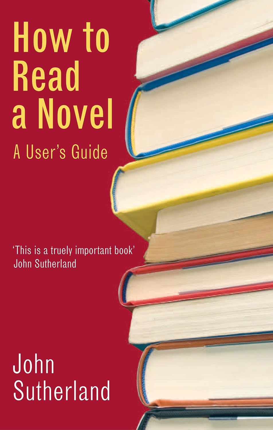 How to Read a Novel : A User's Guide: 9781861979865: Books - Amazon.ca