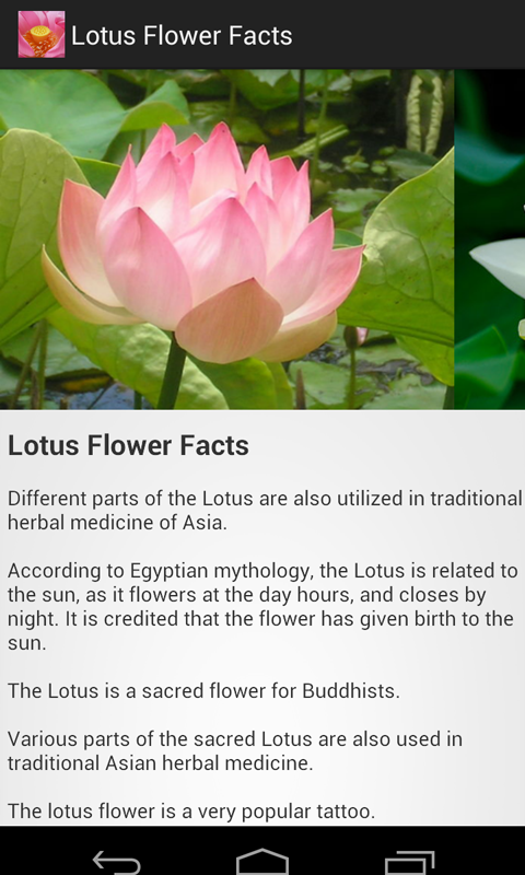 Lotus Flower Facts - App on Amazon Appstore