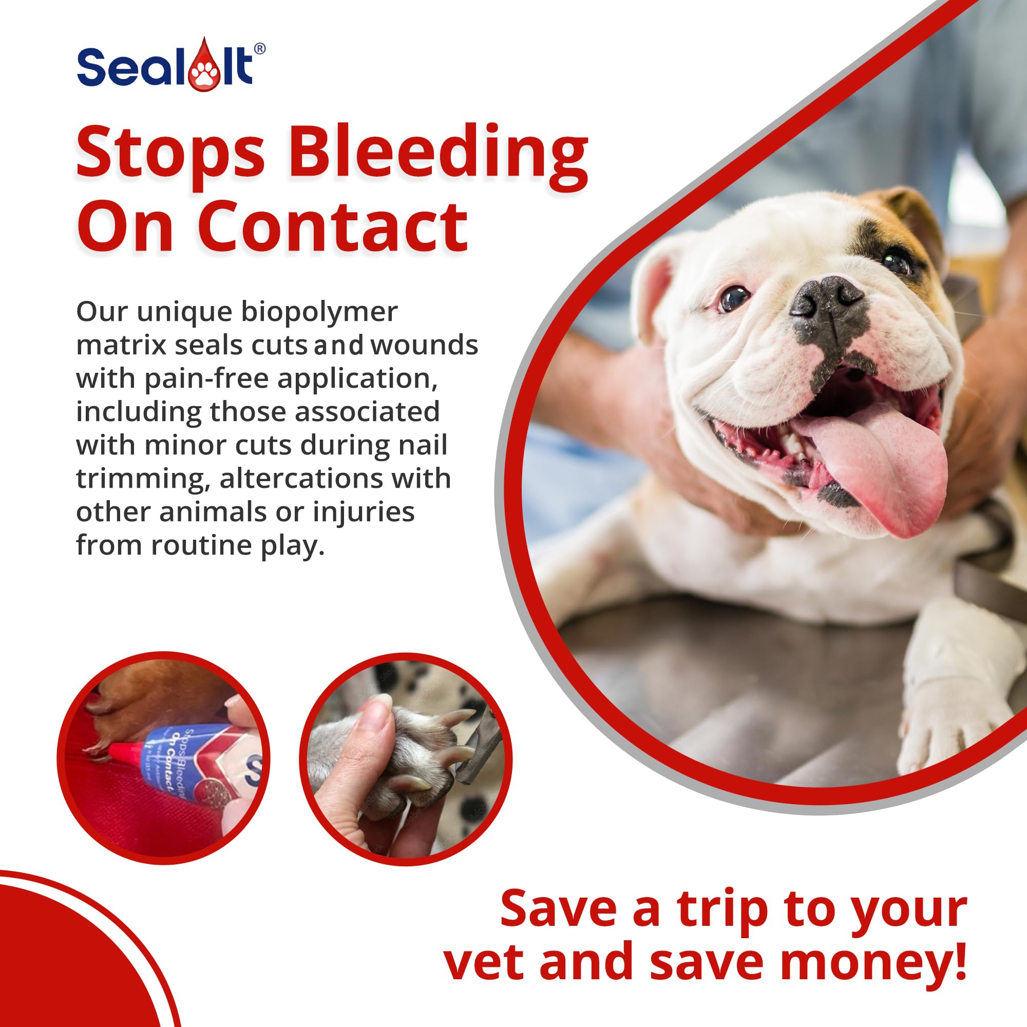 Snapklik.com : Seal It Wound Gel For PetsUS-Made Dog Wound Care Gel To ...