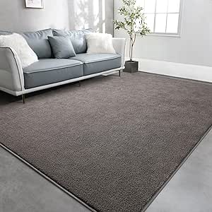 Amazon.com: TWINNIS Large Area Rugs for Living Room Bedroom, 5x8 Feet ...