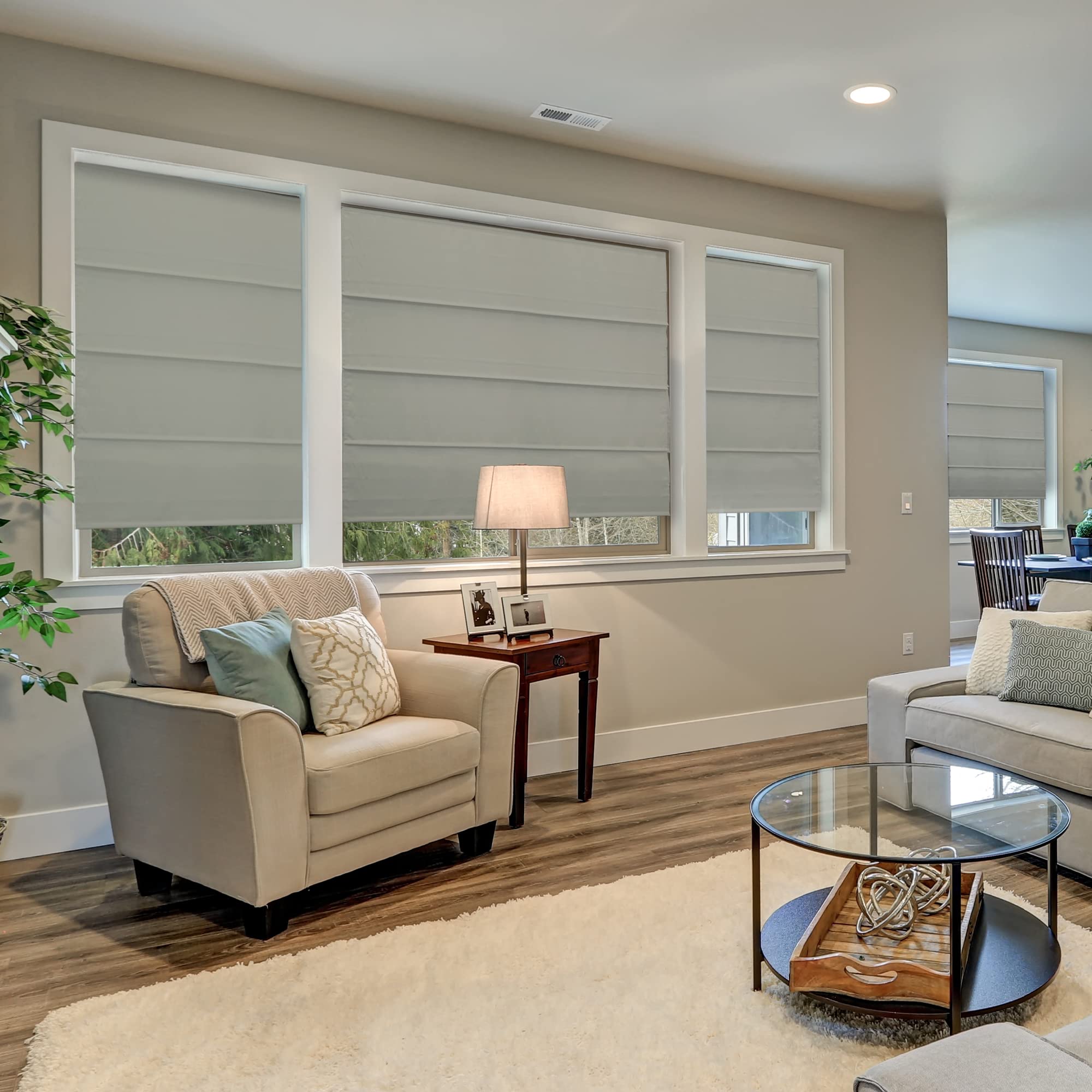 CHICOLOGY Roman Shades for Windows, Roman Window Shades, Roman Shades ...