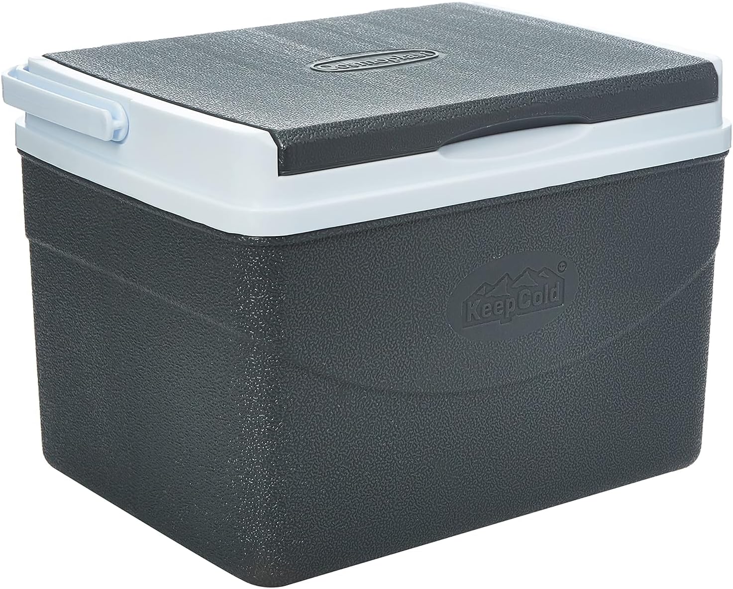 Cosmoplast Keep Cold Plastic Picnic Cooler Icebox Lunchbox 5 Liters ...