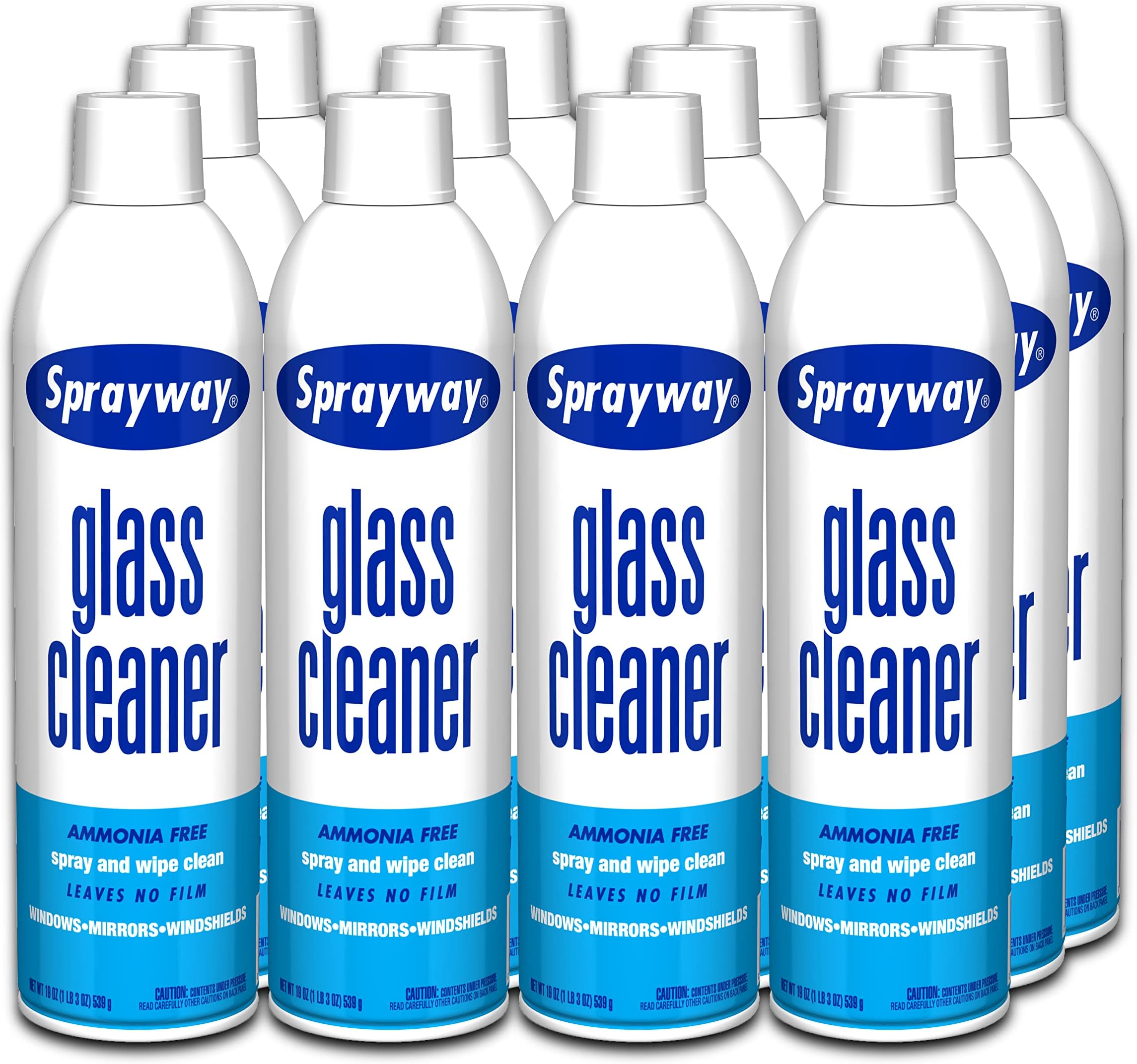 Amazon.com: Sprayway Stainless Steel Cleaner, 15oz Can, Pack of 2 (841 ...
