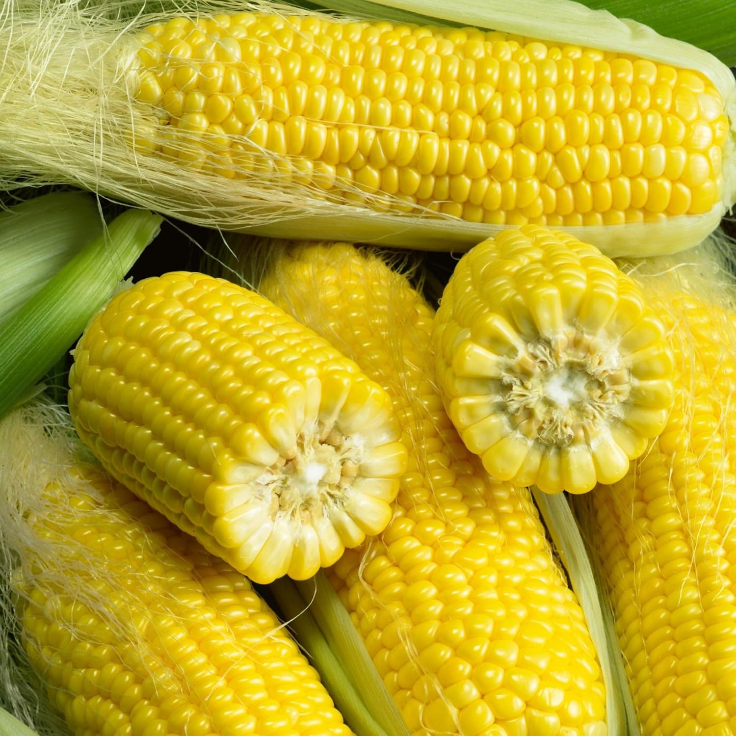 Amazon.com : Golden Bantam 8 Corn 1 Lb ~1,760 Seeds – Heirloom, Non-GMO ...