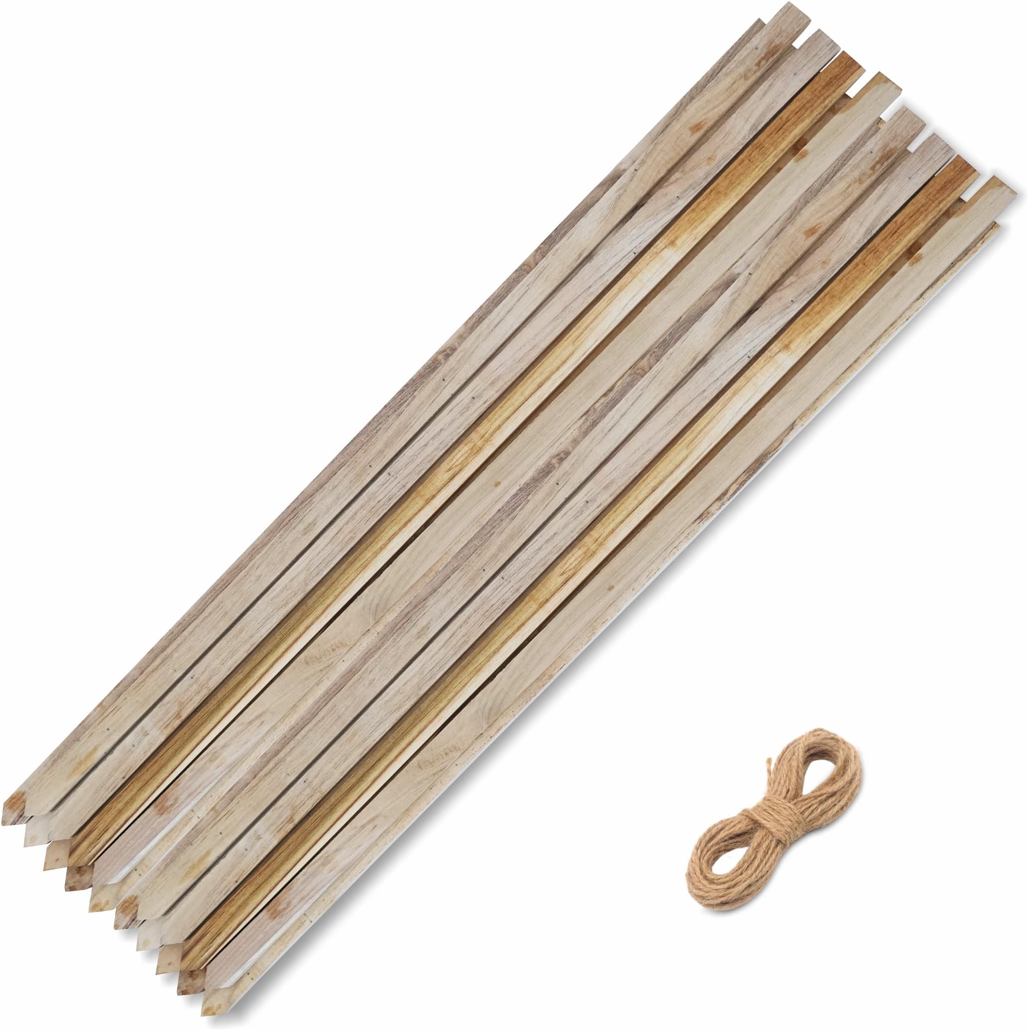 Bamboo Sticks for Plants Support 3 feet (20 Sticks) : Amazon.in: Garden ...