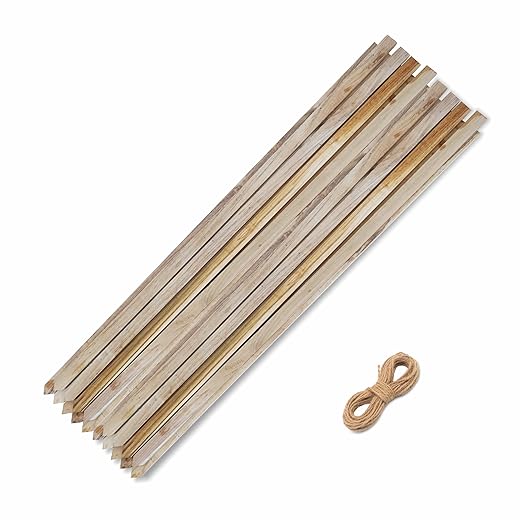 EXALT Extra Strong Wooden Sticks Plant Support | Creepers | Climber ...