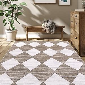 Amazon.com: FairOnly Neutral Area Rugs 8x10 Machine Washable Non-slip ...