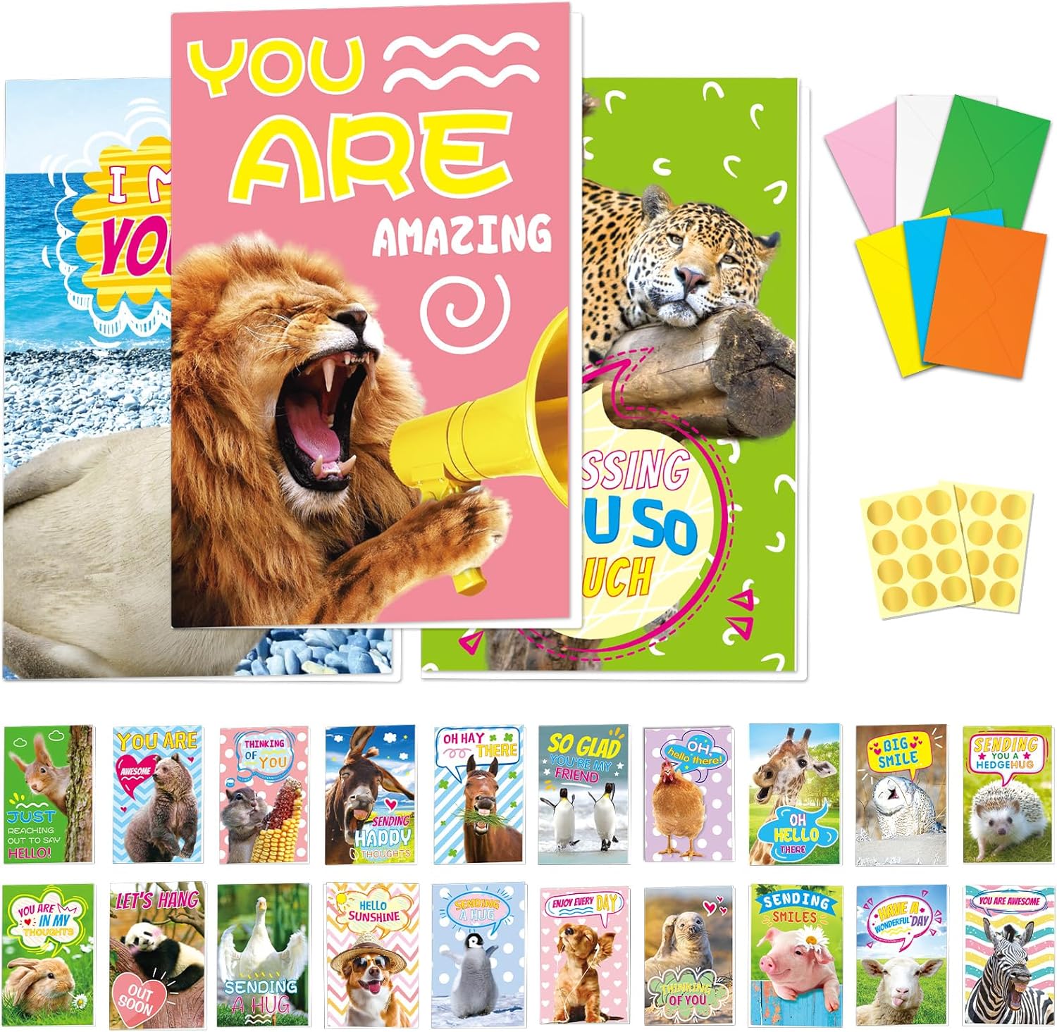Amazon.com : FindFunFine Funny Animal Greeting Cards 24 Sets with ...