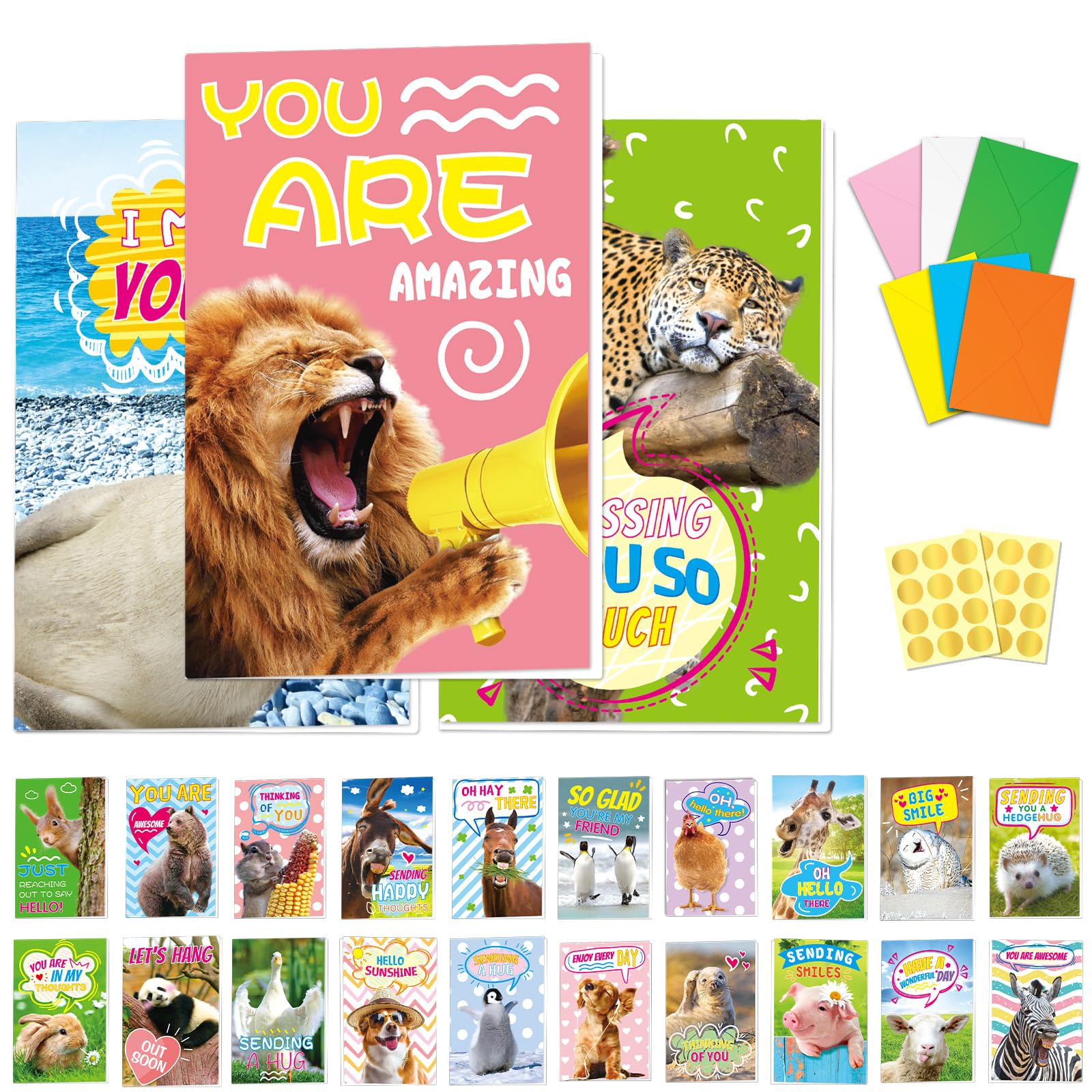 Amazon.com : FindFunFine Funny Animal Greeting Cards 24 Sets with ...