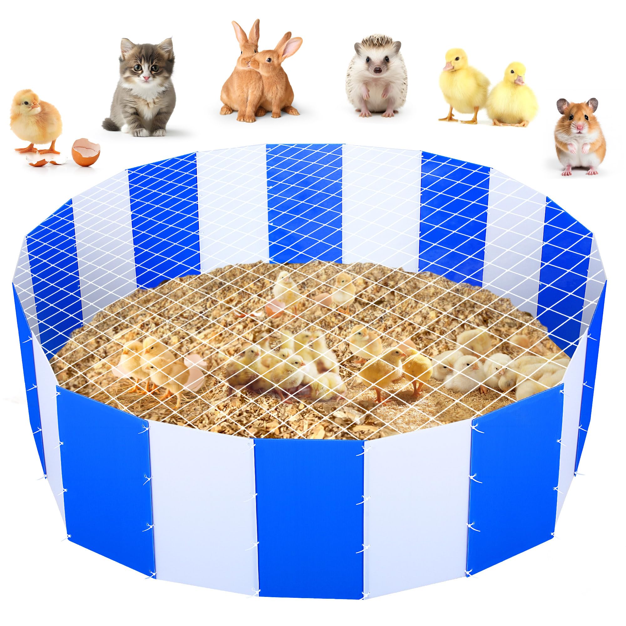 Pop Up Chick Brooder Kit Double Door Baby Chicken Cage Pop-Up Chicken ...
