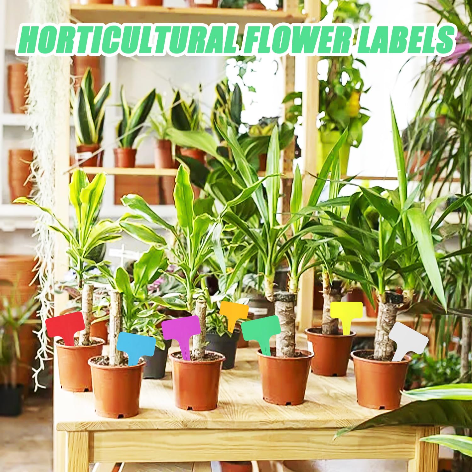 ZDNT 160 PCS Plant Labels,Plastic Plant Labels,Waterproof Seed Labels ...