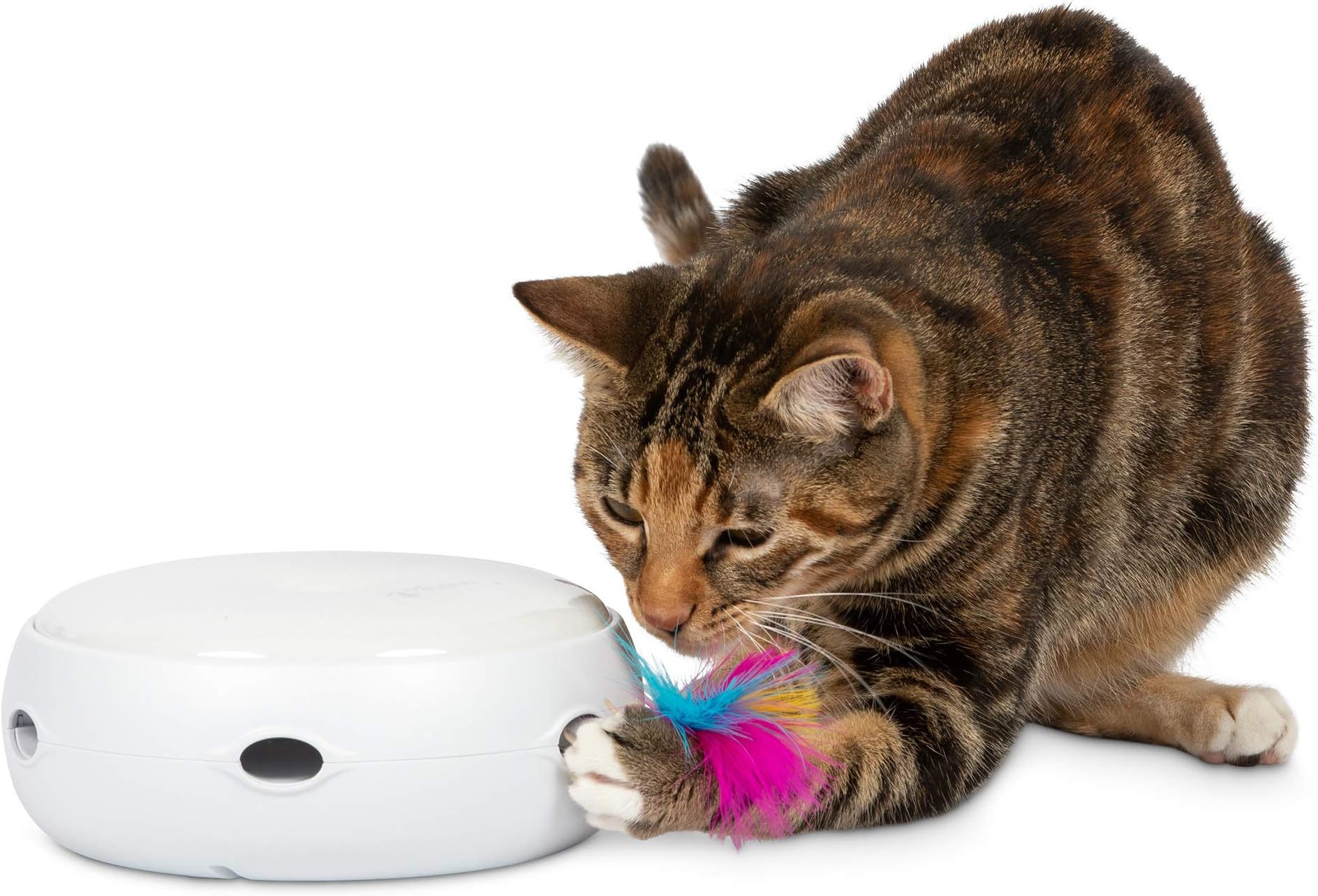 Amazon.com : ALL FOR PAWS Whack A Mole Cat Mouse Toy for Cats ...
