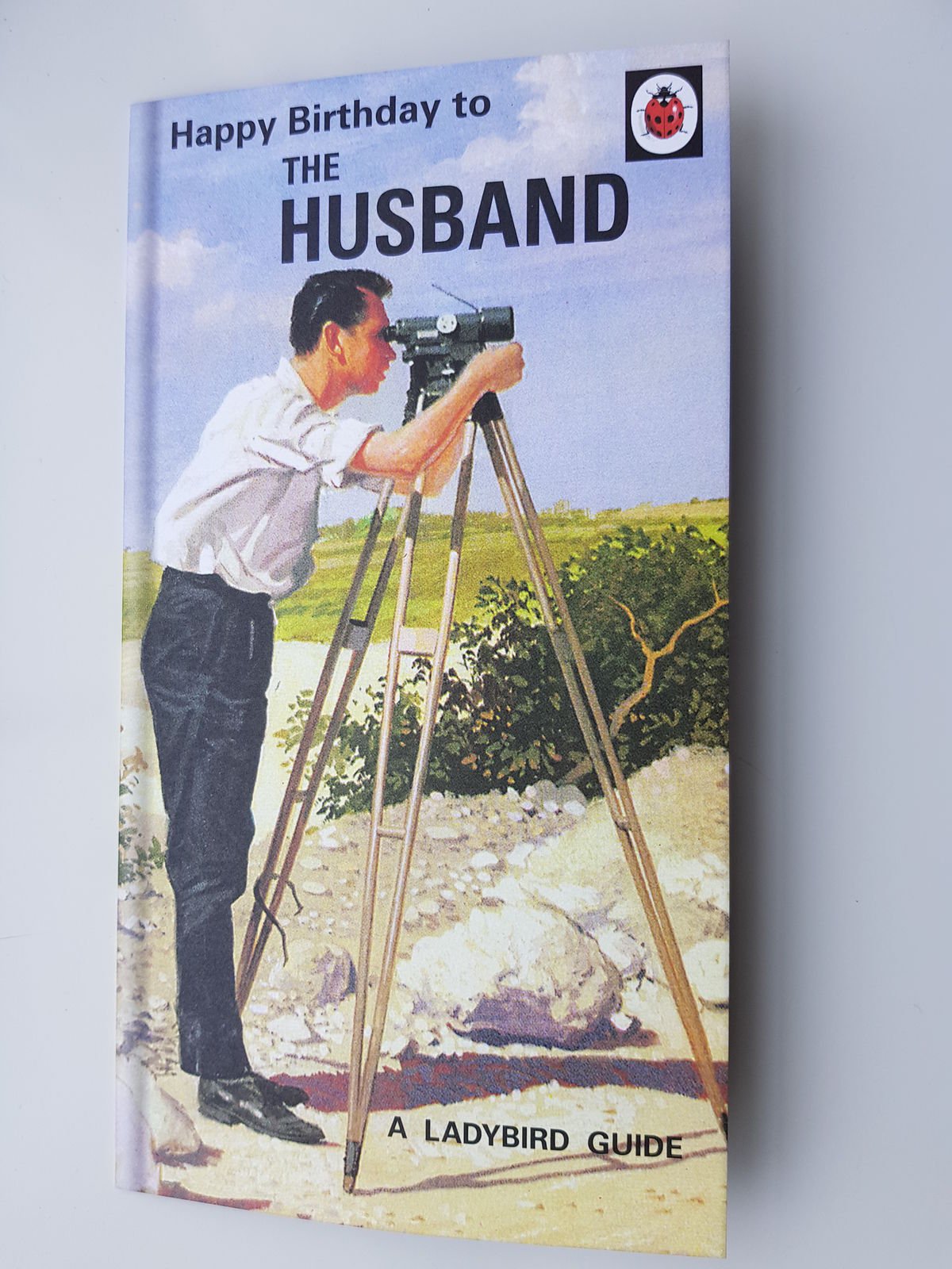 buy-husband-birthday-card-happy-birthday-card-husband-ladybird