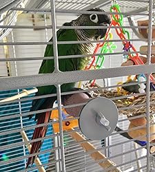 Amazon.com : Living World Pedi-Perch, Small : Bird Perches : Pet Supplies