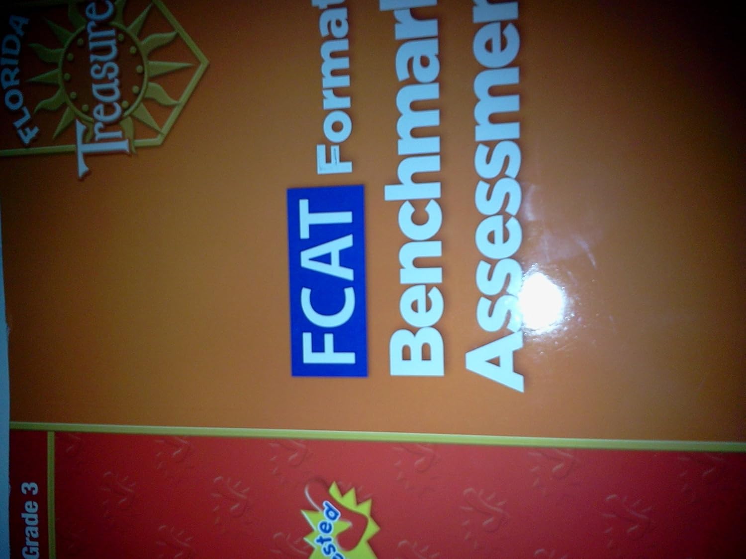 FCAT Format Benchmark Assessment Grade 3 (Florida Treasures) : Amazon ...