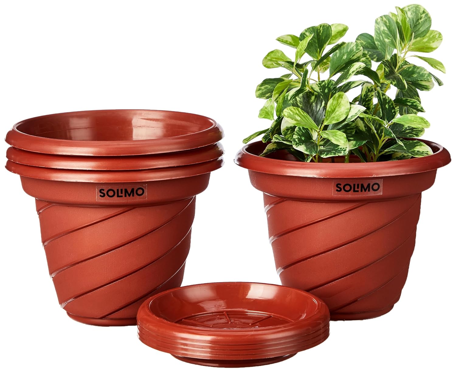 Amazon Brand - Solimo Planters/Flower Pots with Bottom Plates (Set of 4 ...