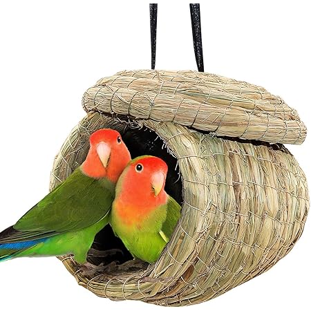 Amazon.com : Pet Bird Bird House Bird Nest Parakeet Budgie Cockatiel ...