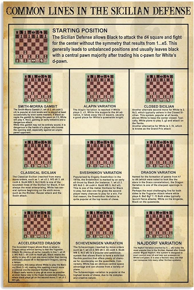 Amazon.com : Chess Knowledge Metal Tin Signs Common Lines In The ...