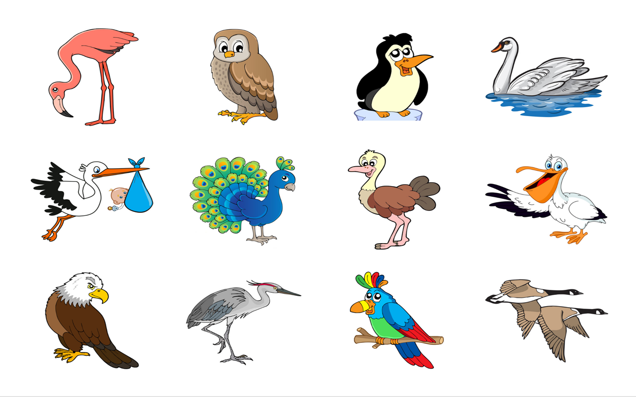 Video Touch - Vögel:Amazon.de:Appstore for Android