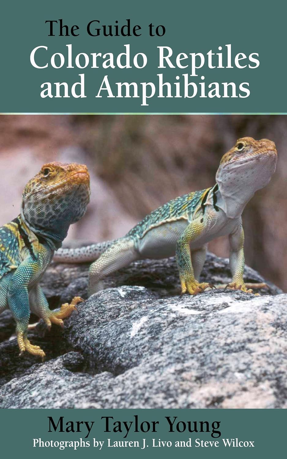 Amazon.com: The Guide to Colorado Reptiles and Amphibians eBook ...
