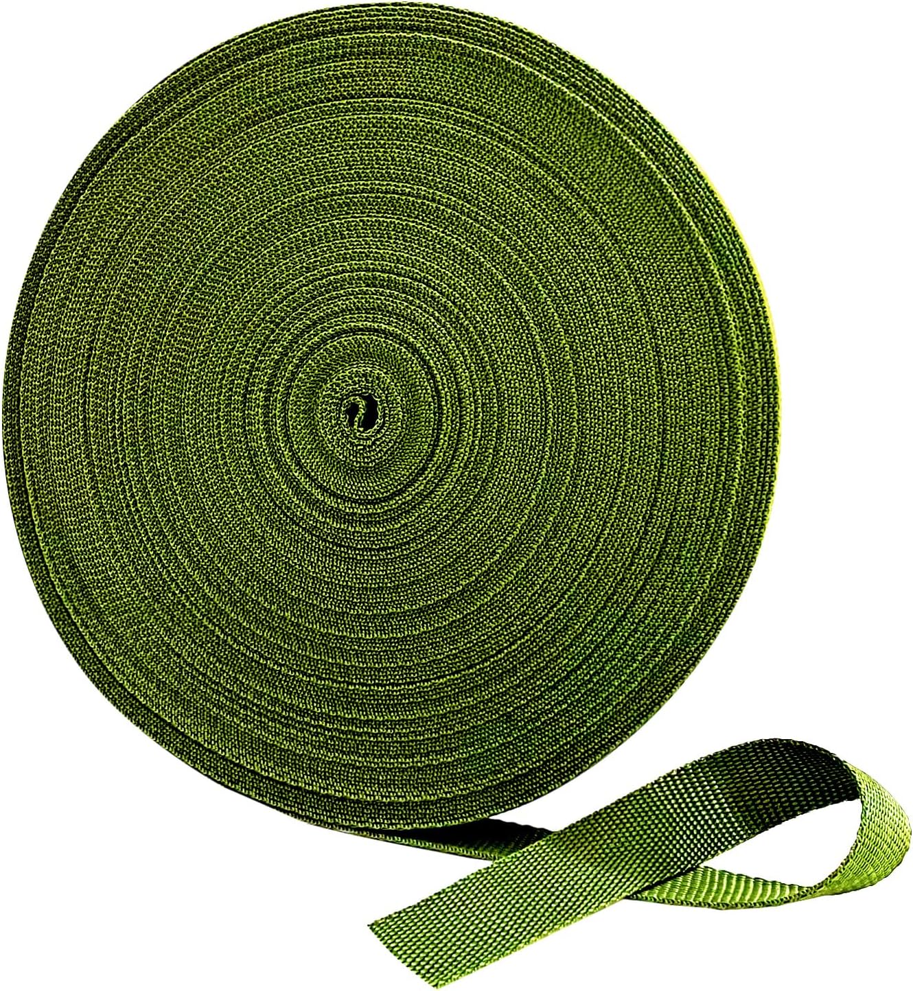 Amazon.com : KQYSLXG 50 FT Chain Lock Tree Ties, Outdoor Plant Strap ...