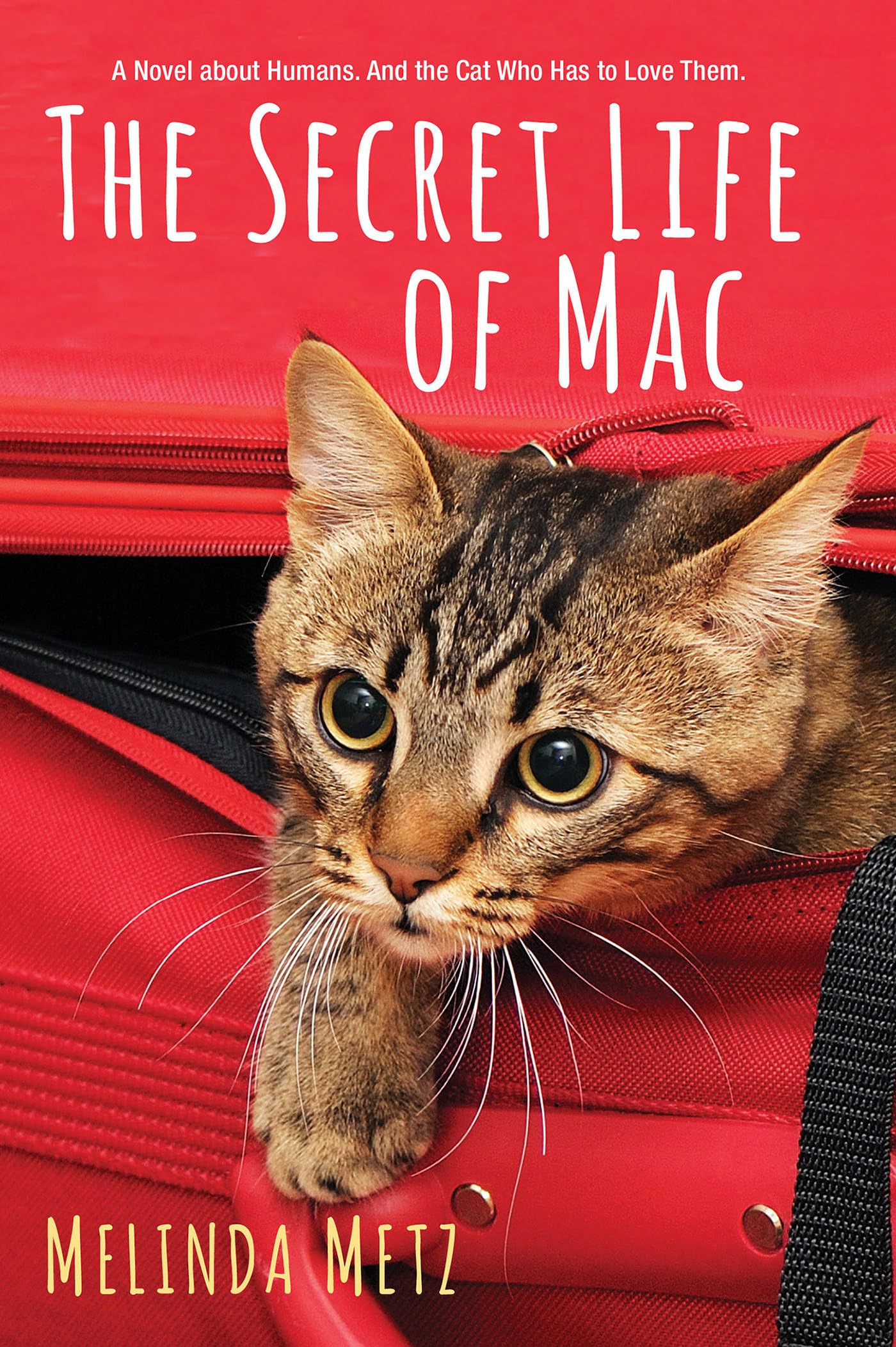 Amazon.com: The Secret Life of Mac: 9781496718990: Metz, Melinda: Books