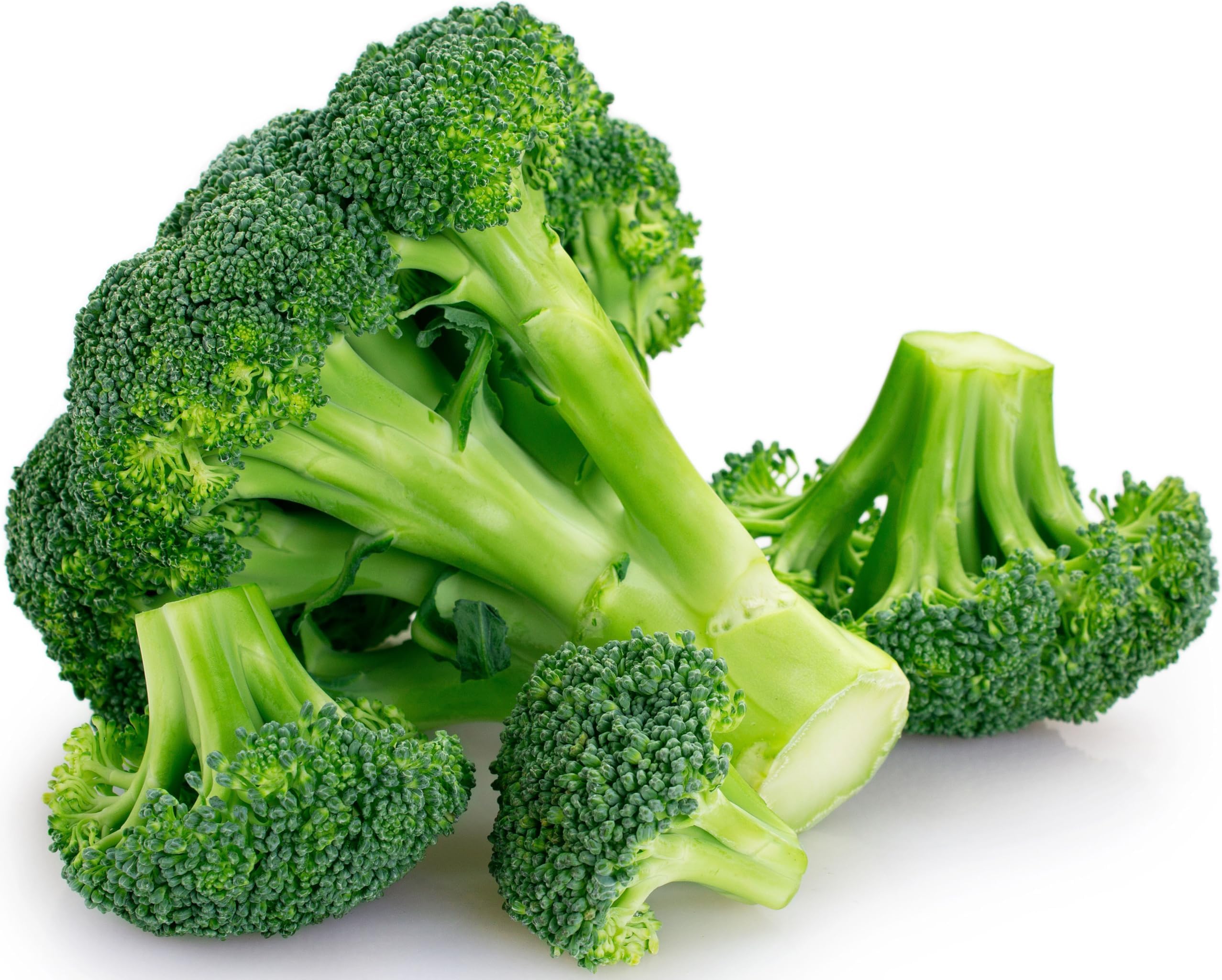 Amazon.com: 250 Broccoli Seeds for Planting Waltham 29 - Heirloom Non ...
