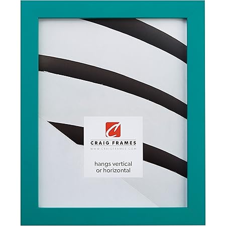 Amazon.com - Craig Frames Confetti, Modern Teal Blue Picture Frame, 12 ...