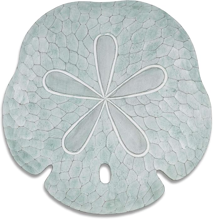 Amazon.com: T.I. Design Hand-Carved Coastal Seafoam Sand Dollar Shell ...