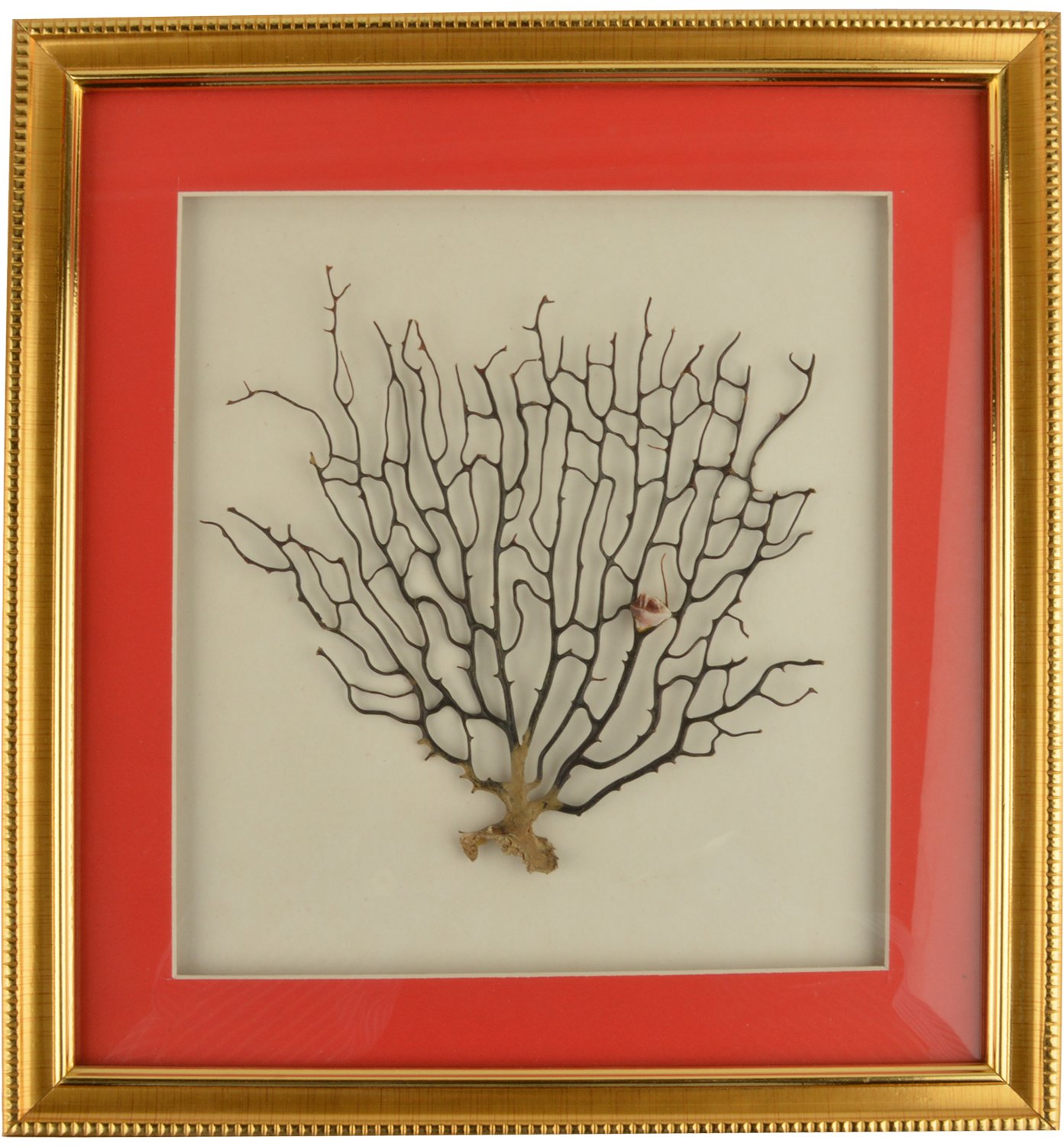 Buy Ratan Shri Plastic Indar Jaal (9 cm x 12 cm x 1 cm, Gold) Online at ...