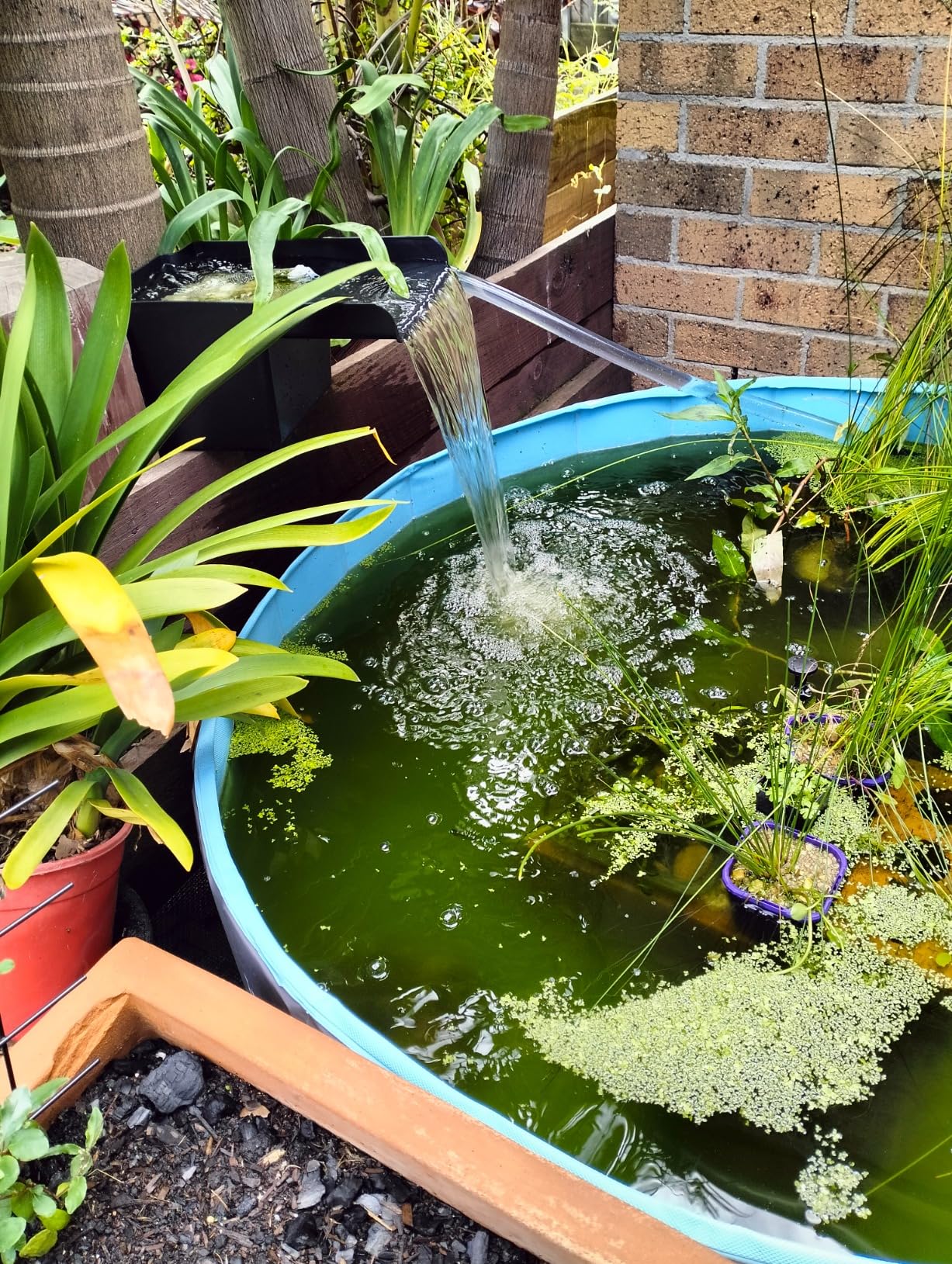 Danner Manufacturing, Inc., ProLine Pro1000 Pond Waterfall Box, 02477 ...