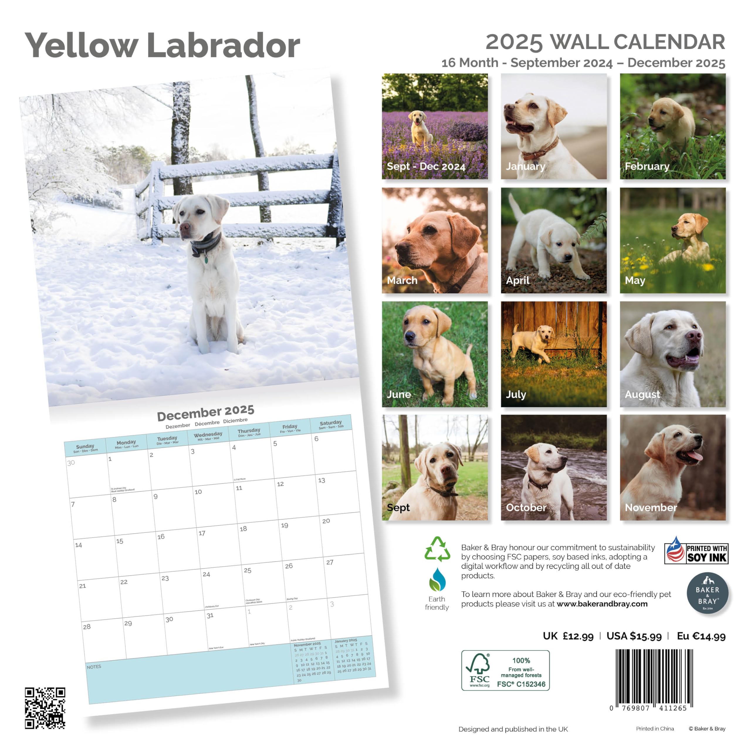 Baker and Bray Yellow Labrador Calendar 2025, Large Square Wall ...