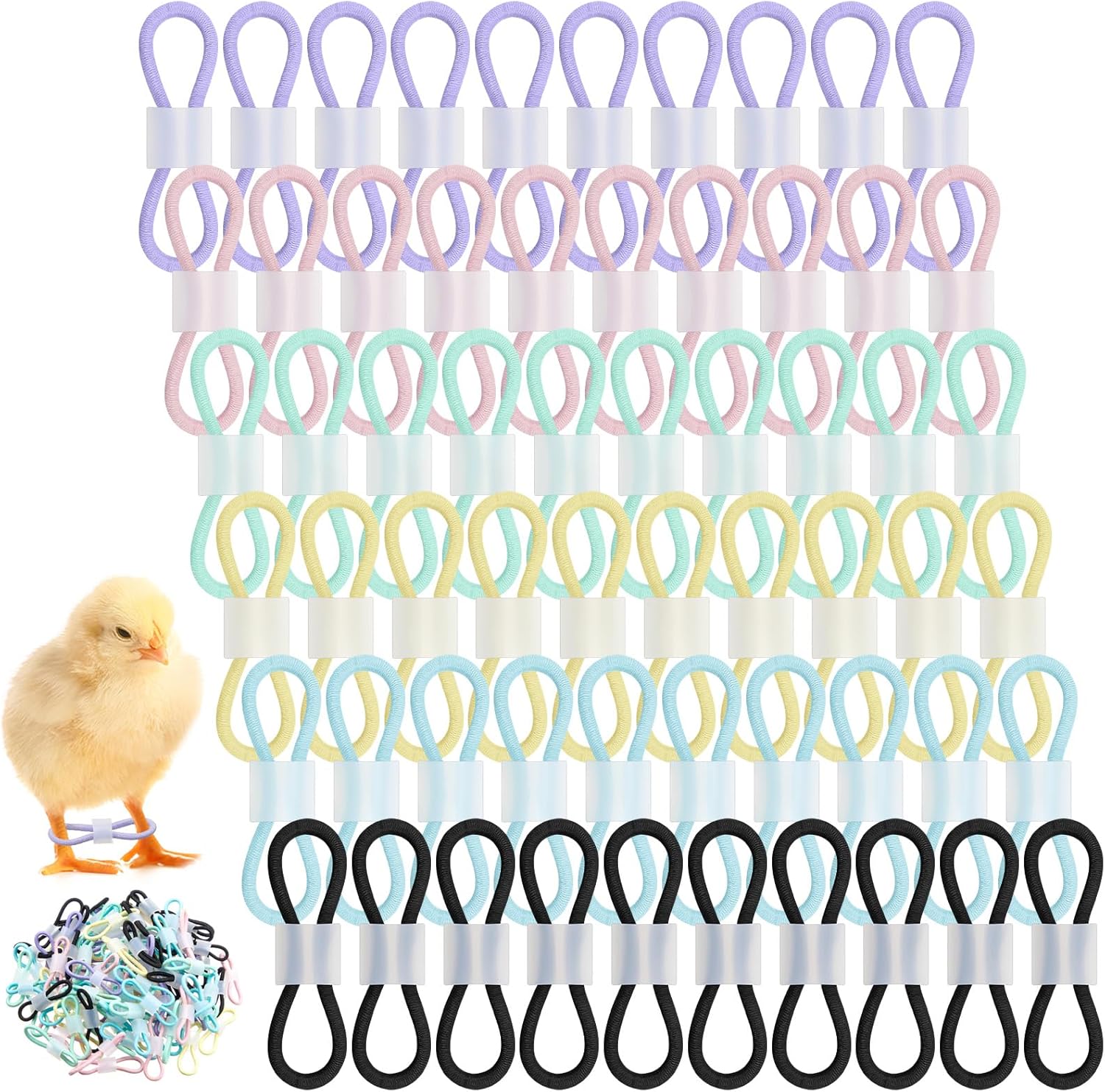 Amazon.com : Patelai 100 Sets Baby Chick Leg Bands Splay Hobble Brace ...