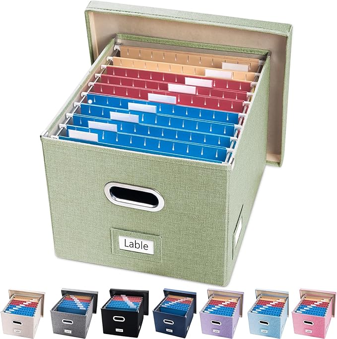 Amazon.com: PRANDOM File Organizer Box - Set of 1 Collapsible ...