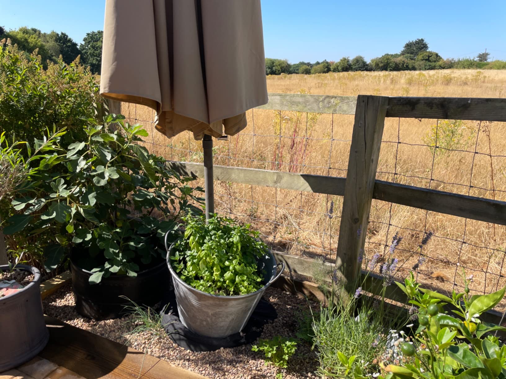 Patio and terrace Set Of 3 Round Vintage Zinc Galvanised Metal Garden ...