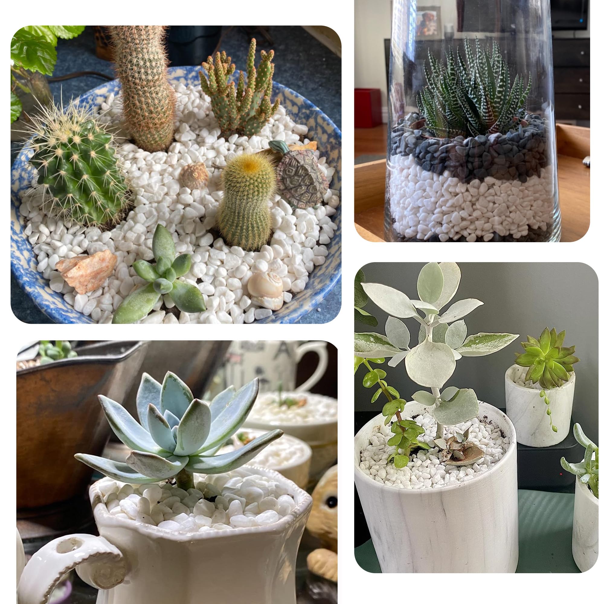 Snapklik.com : 2.4lb 1/4" Small White Rocks For Plants,Potting ...